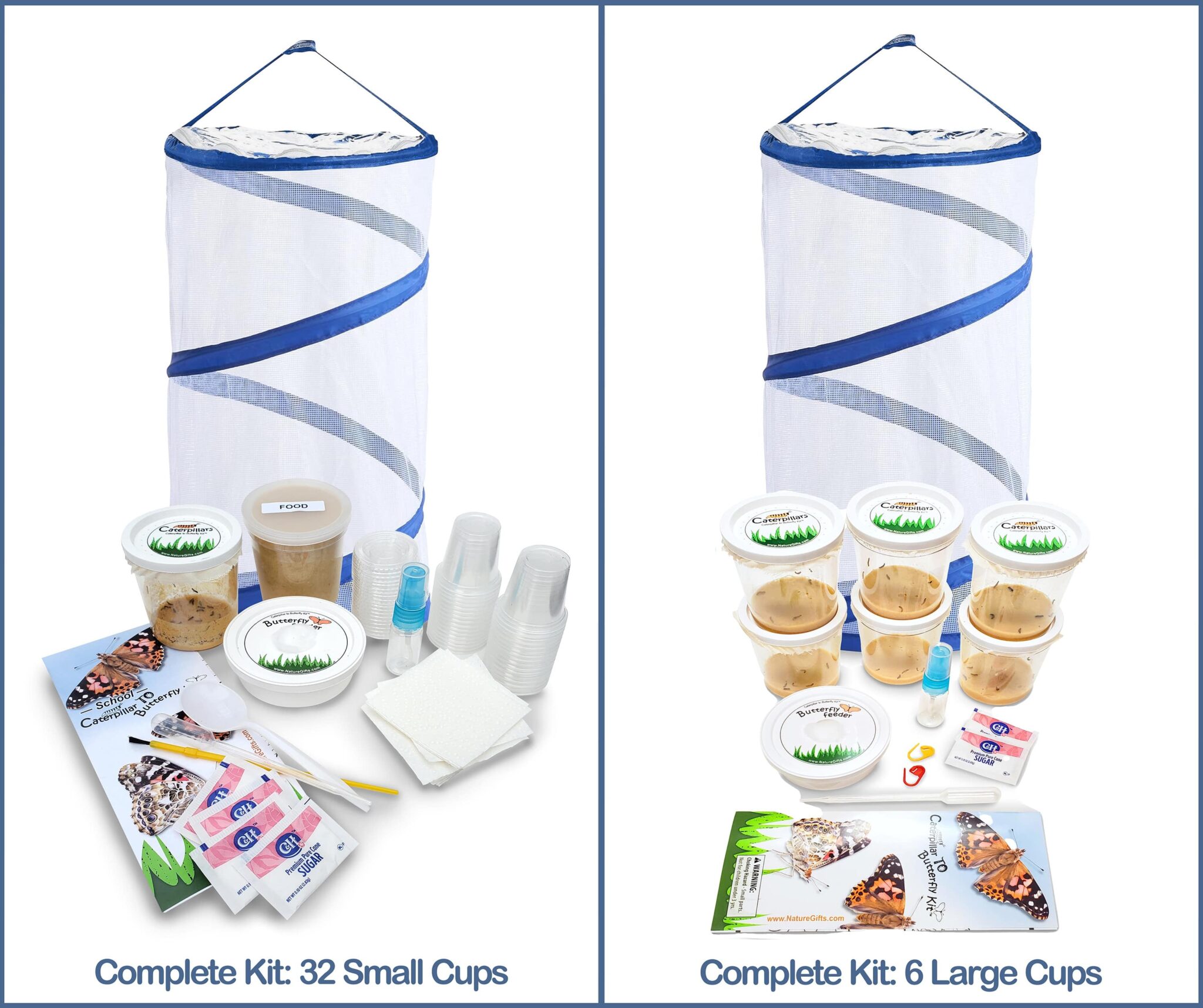 Butterfly Growing Kit with Live Caterpillars Included! Plus ...