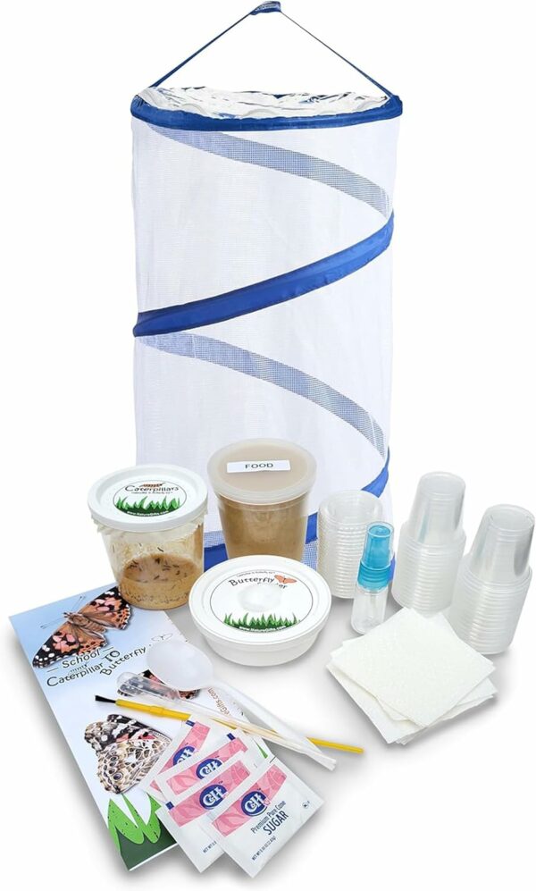 Grow Your Own Butterflies: Unique Butterfly Kits - Nature Gift Store