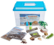 Hermit Crab Habitat Kit, Live Hermit Crabs & Crabitat Supplies - Nature ...