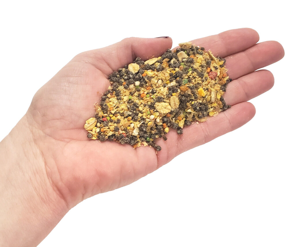 Hermit Crab Protein Treat - Nature Gift Store