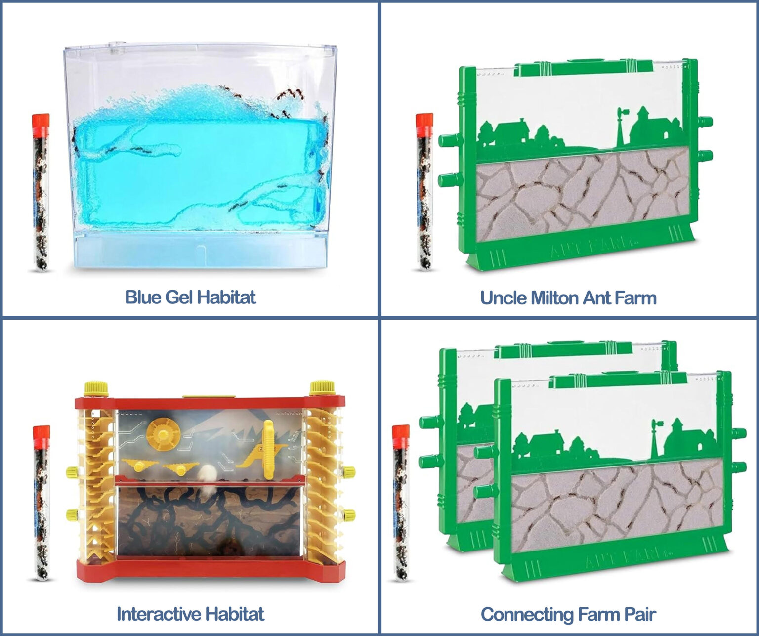 Ant Farm Kits with Ants for Sale: Buy Online: 15+ Years Shipping Live Ants.