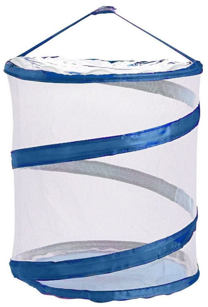 Caterpillar to Butterfly Kit: Shipped with Live Caterpillars - Nature ...