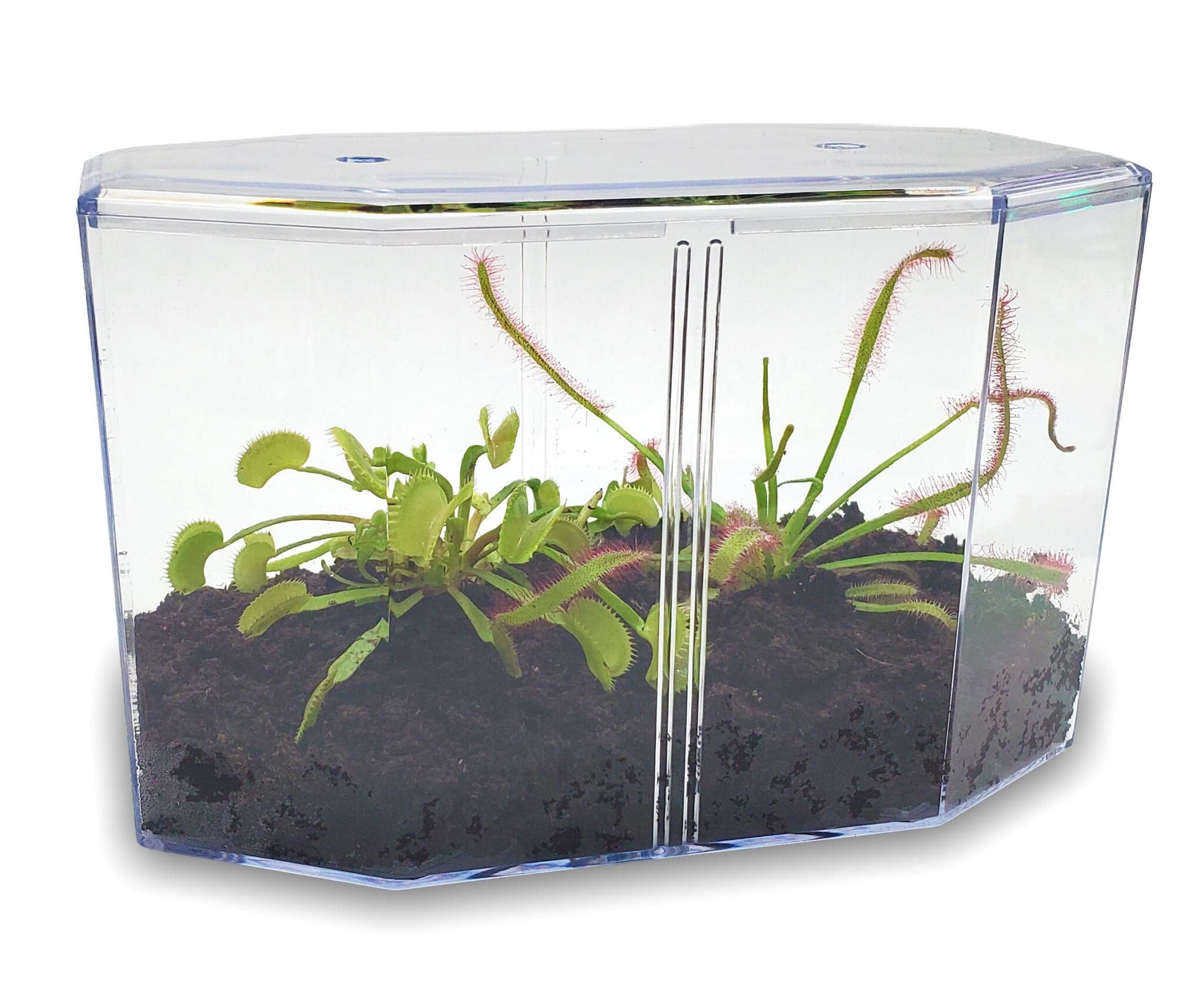 Nature Gift Store | Exciting Hands-On Nature Gifts for Kids