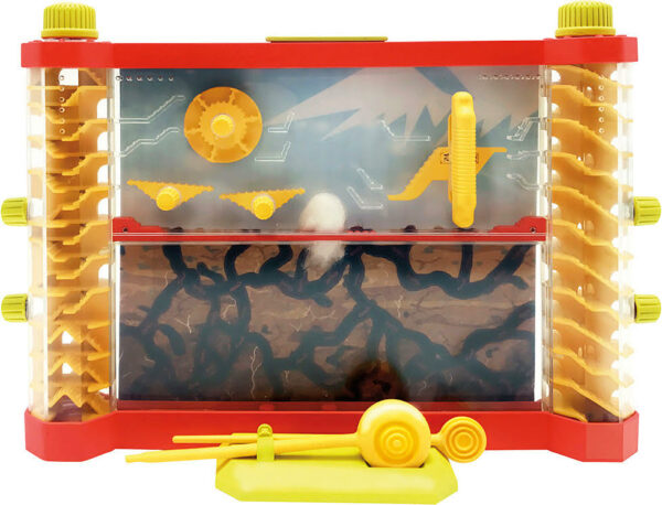 Live Red Harvester Ants: Ants for Ant Farms - Nature Gift Store