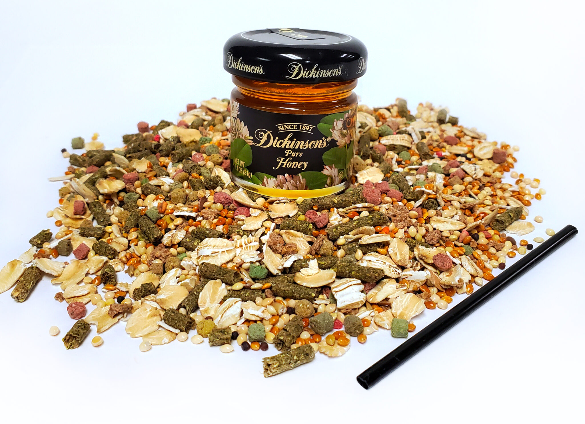 Live Red Harvester Ants: Ants for Ant Farms - Nature Gift Store