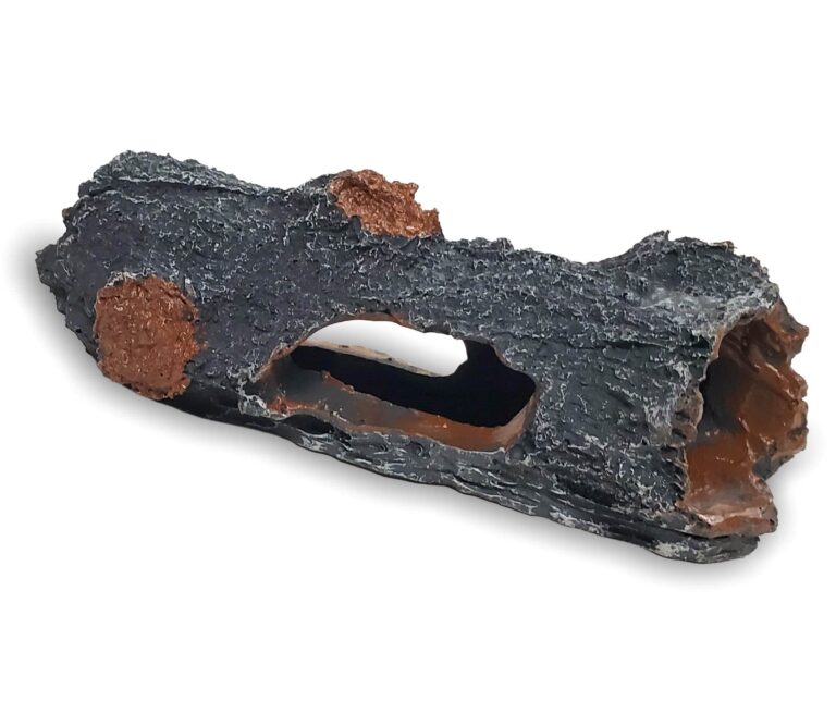 Tadpole to Frog Kit with Live Tadpoles Included! Exciting Frog Growing Kit!