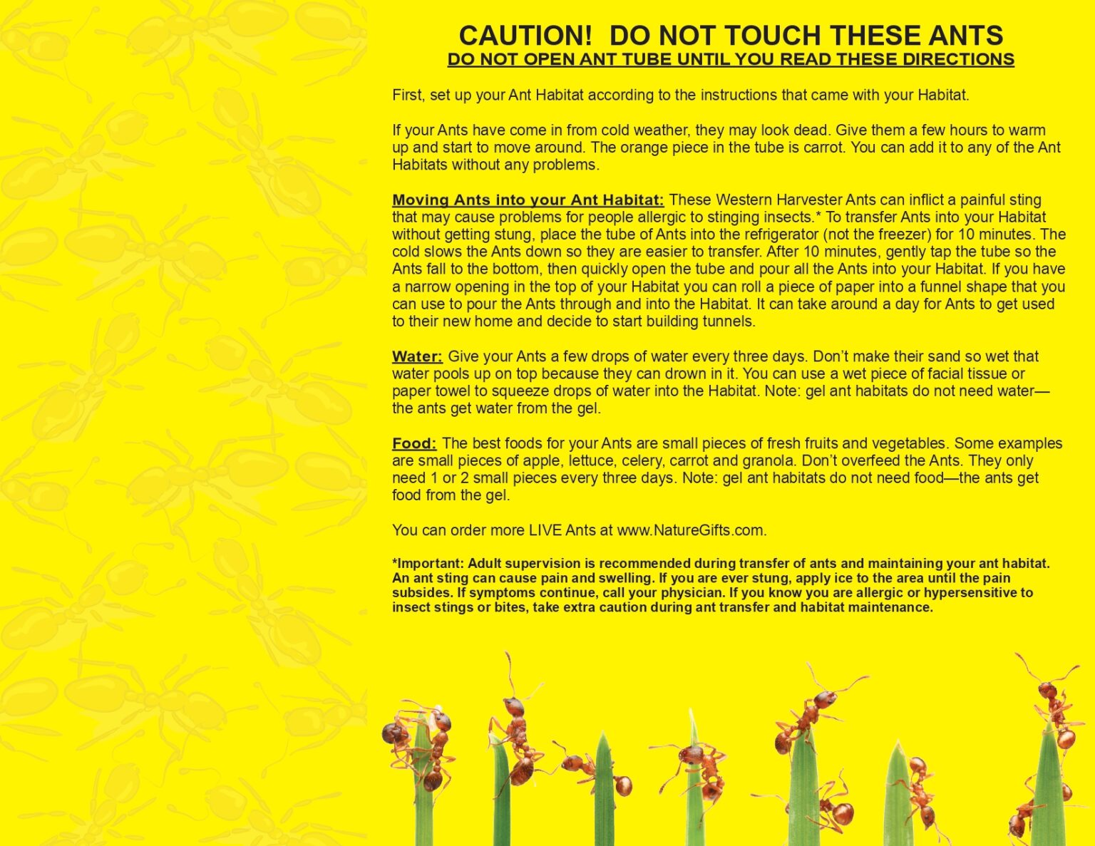 Adding Ants to Ant Farms - Nature Gift Store