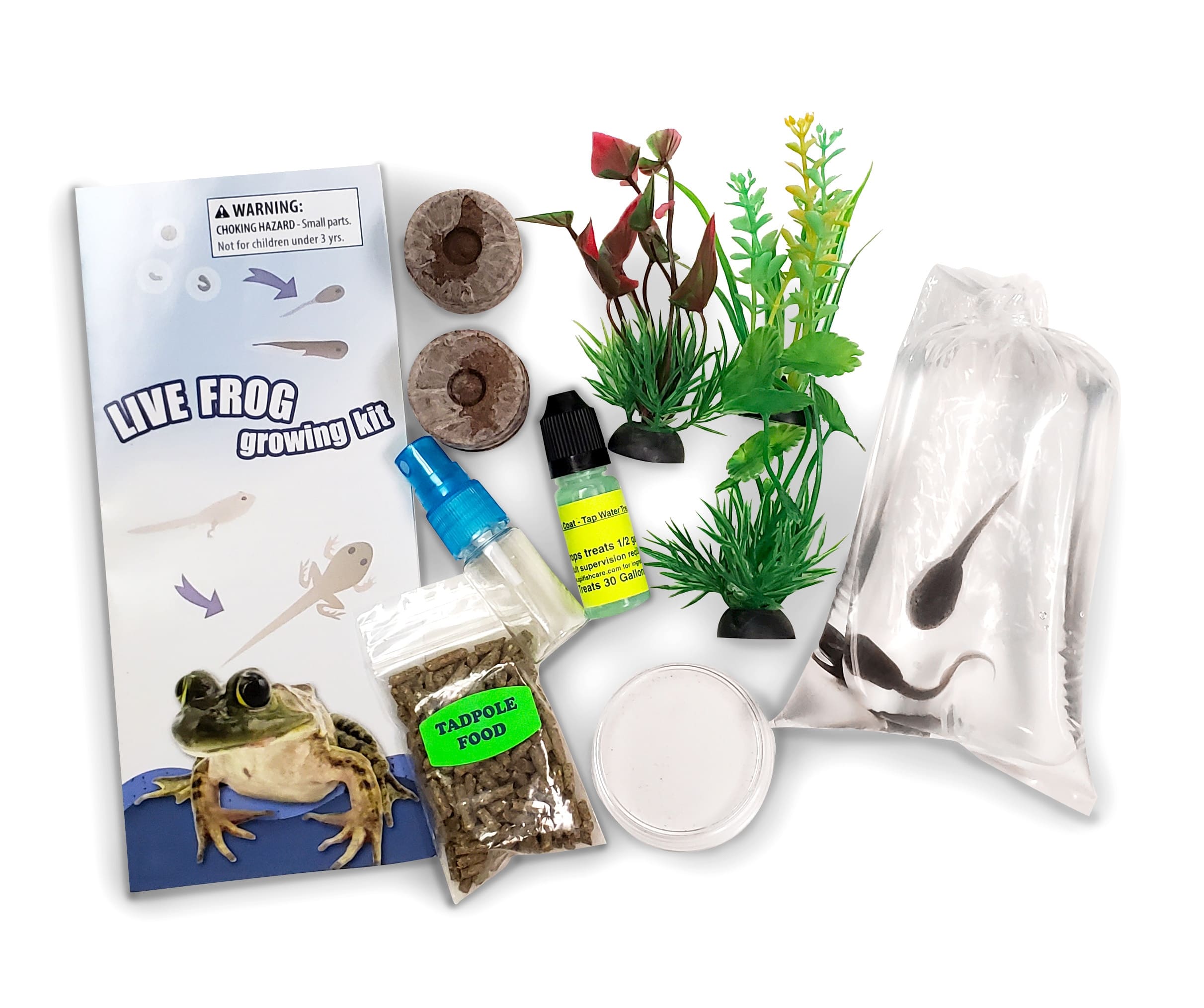 Tadpole to Frog Kit with Live Tadpoles Included! Exciting Live Tadpole ...